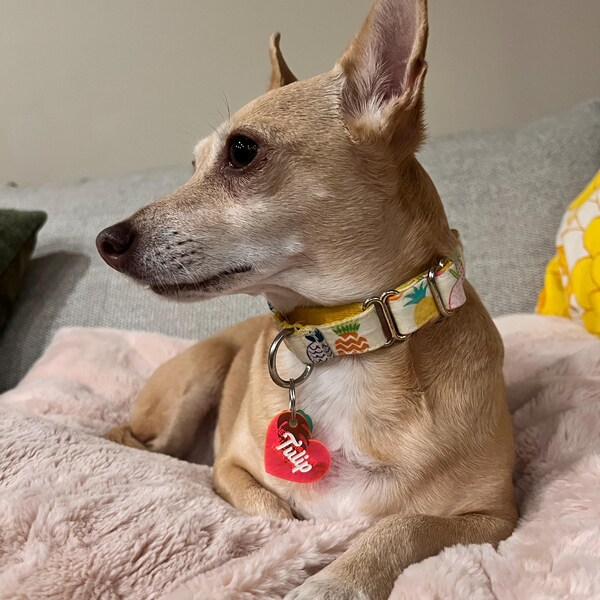 Lucy Heart Personalized Pet Tag, Cat and Dog ID Tag - Etsy