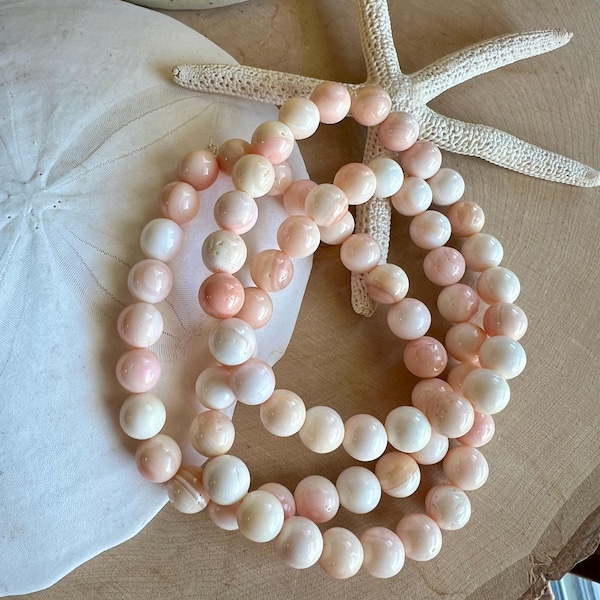 AAA Queen Conch, Natural Pink Queen Conch Shell Smooth Round Ball ...