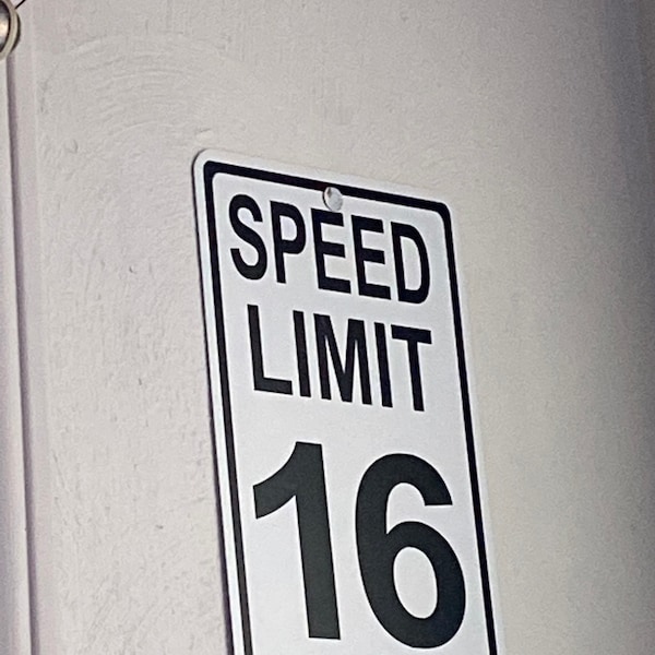 Speed Limit 16 Metal Sign: 16th Birthday Party Decor - Etsy