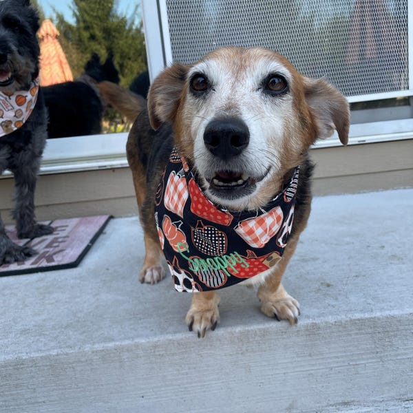 Dog Bandana Plaid Bandana Dog Gift Fall Dog Bandana Thanksgiving ...