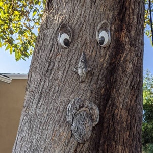 Mr. Grumpy Stump Tree Face Fun Birthday Gifts Made in - Etsy Canada