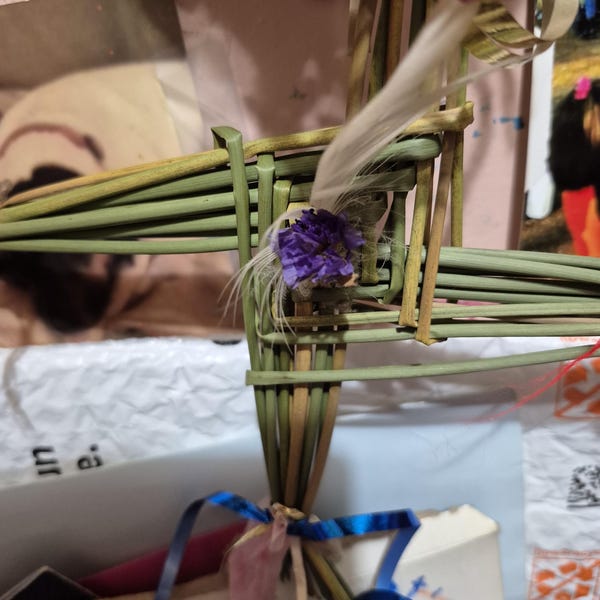 Devil Pod / Bat Nut / Water Caltrop /trapa Bicornis - Protective Amulet ...