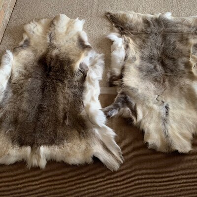 Real Giant European Wild Boar Skin Hooves Hide Pelt Area Rug Hide ...