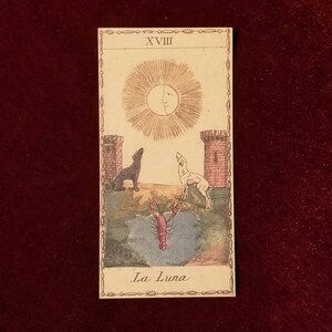 Master Root Oil A Hoodoo Traditional Oil for Mastery Over All Things ...