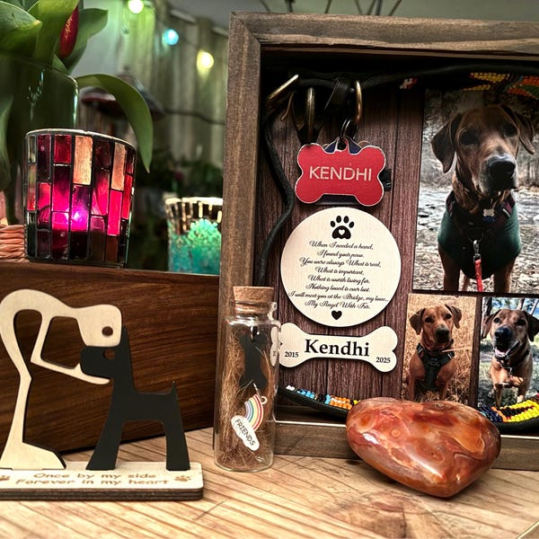 Coin Holder Travel Personalized, Coin Collection Display Foreign ...