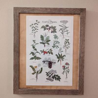 Seeds and Seedlings Cards Digital Printable PDF - Etsy