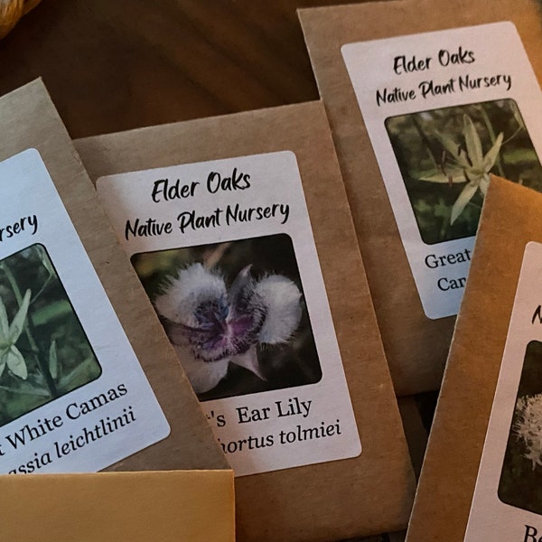 Checker/chocolate Lily (fritillaria Affinis) ~ 100 Seeds *pacific ...