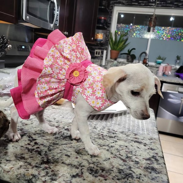 Isabella Dog Dress SMALL & MEDIUM Sewing Pattern PDF, Dog Clothes ...