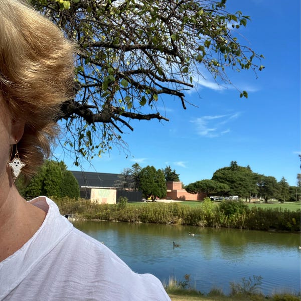 Colorful Hoop Earrings | Stainless Steel Hoops | Boho Jewelry ...