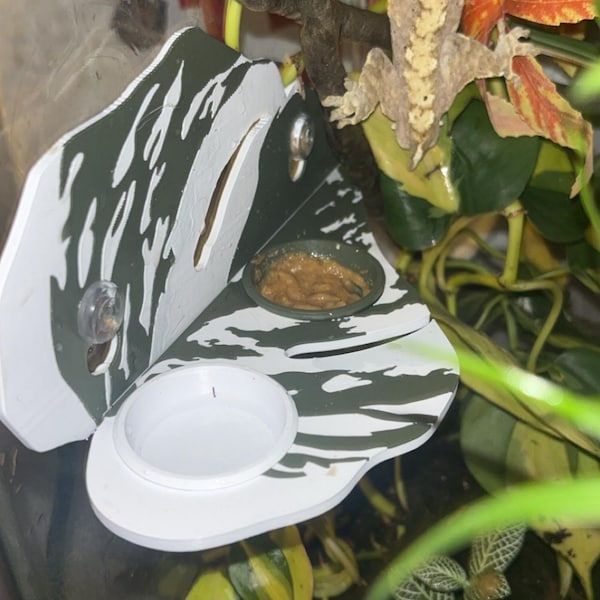 Pink Princess Philodendron Ledge for 0.5oz Deli Cup | Crested Gecko ...