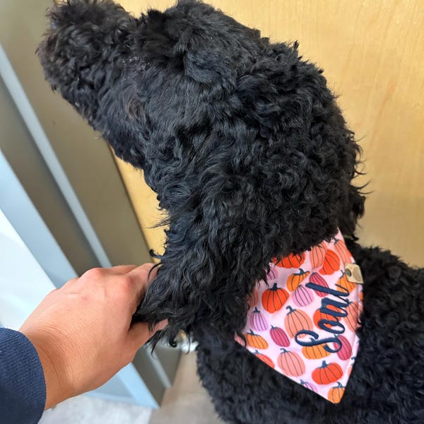 Fall Dog Bandana Fall Floral Bandana Dog Gift Thanksgiving Dog Bandana ...