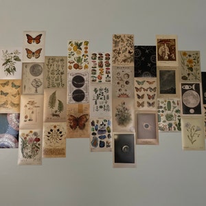 Vintage Nature Botanical & Astronomy Chart Images Aesthetic | Etsy