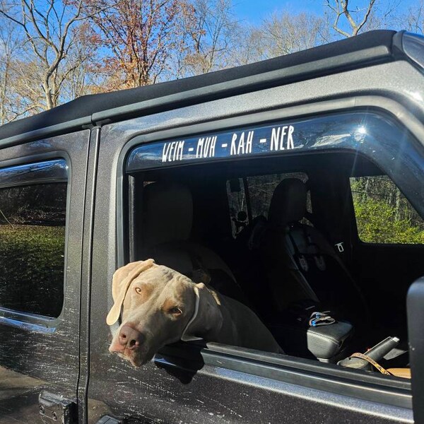 Custom Holographic Car Decals, Custom Large Oversized Vinyl Stickers ...