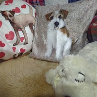 Cheeky Sloth Greetings Card by Bex Williams Sloth Greetings Card Lazy ...