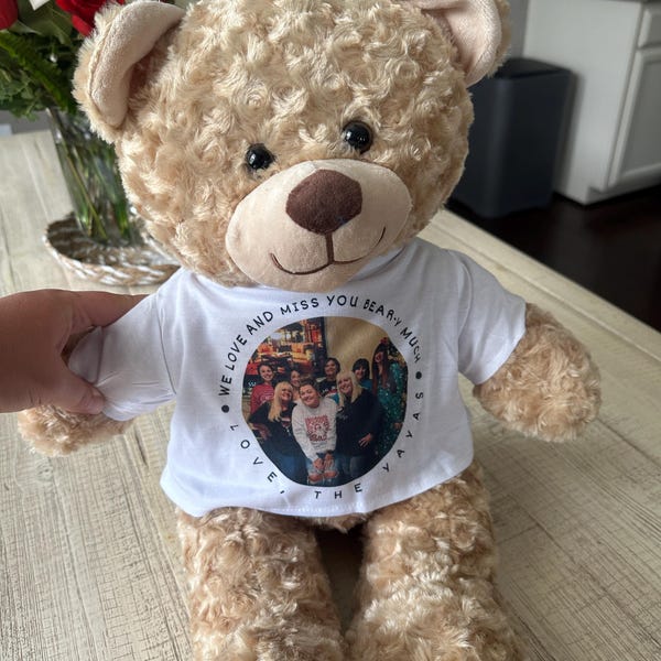 Memory Bear, Pepe Teddy Bear, Memorial Bear for Kids, Sympathy Bear ...