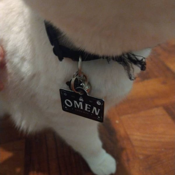 Witchy Pet ID Tag, Custom Personalized Dog or Cat Tags, Mystical Gothic ...