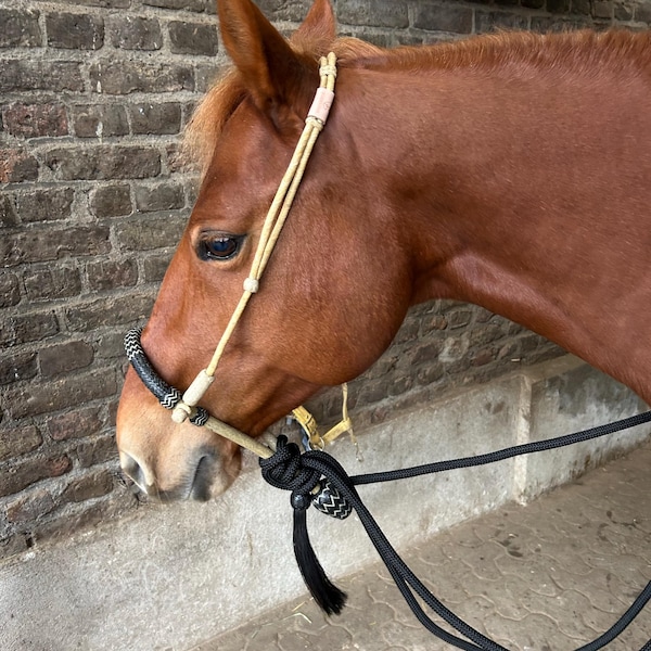 Handmade Bosal Set, 40 Plaits Rawhide Natural & Black Bosal Set, Bosal ...