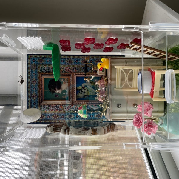 Picture Perfect Jumping Spider Enclosure Habitat,4x4x8, Jumping Spider ...