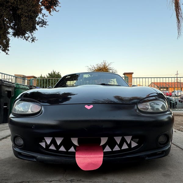 Universal Car Vampire Teeth / Bumper Fangs / Halloween Car Decoration ...