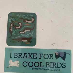 Roseate Spoonbills Bookmark Birding Book Lover Bird Nerd - Etsy