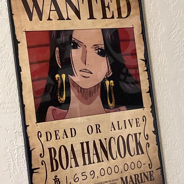 Anime One Piece Wanted Poster: Fanart Canvas Scroll (12x18in) - Etsy