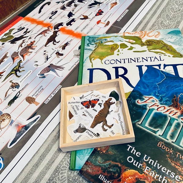 Printable Timeline of Life Montessori Second Great Lesson, the Coming ...