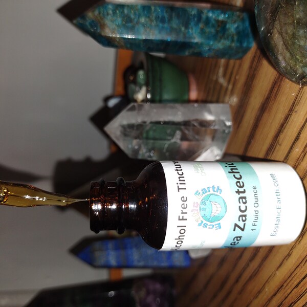 Organic Echinacea Tincture Alcohol Free Echinacea Angustifolia Extract ...