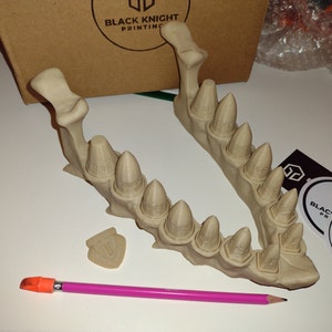 Dragon Teeth Dice Set - Etsy