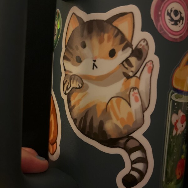 Vinyl Sticker Tricolor Tabby Cat Sparkles - Etsy