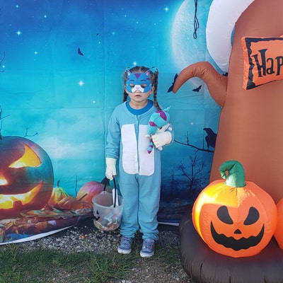 Girl's Playhouse Masks Catnip Panda Cats Mermaid Boxes Cakes Pretend ...