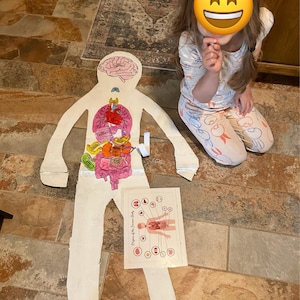 Montessori-inspired DOLPHIN Life Cycle, Anatomy, Tracing & Counting ...