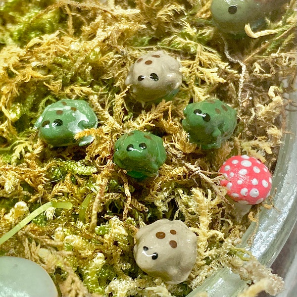 World's Tiniest Frog/ Tiny Frog/ Tiny Toad/ Mini Frog/ Mini Toad ...