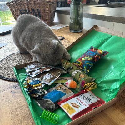 Cat Toy and Treat Gift Box, Cat and Kitten Hamper, Cat Pamper Box ...