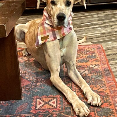 Huckleberry Dog Bandana summer, Spring, Rustic, Flowers, Floral, Summer ...