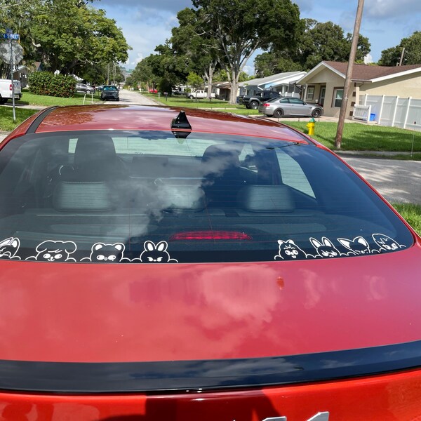 Morgan Wallen Era Decal - Etsy