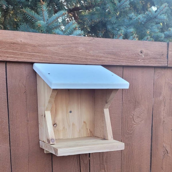 Peterson Bluebird House | Cedar | Insulated | Front Opening | Predator ...
