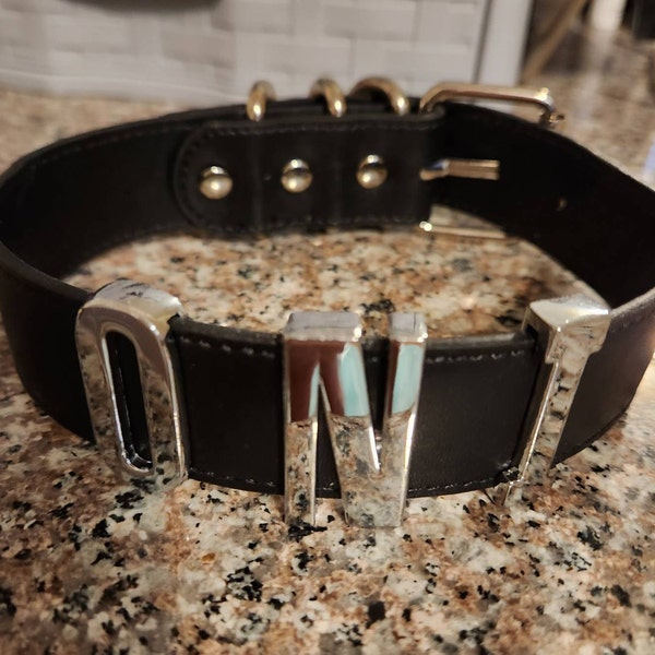 Thick O Ring Collar With Huge Letters in Pink, Red, White, Blue or ...