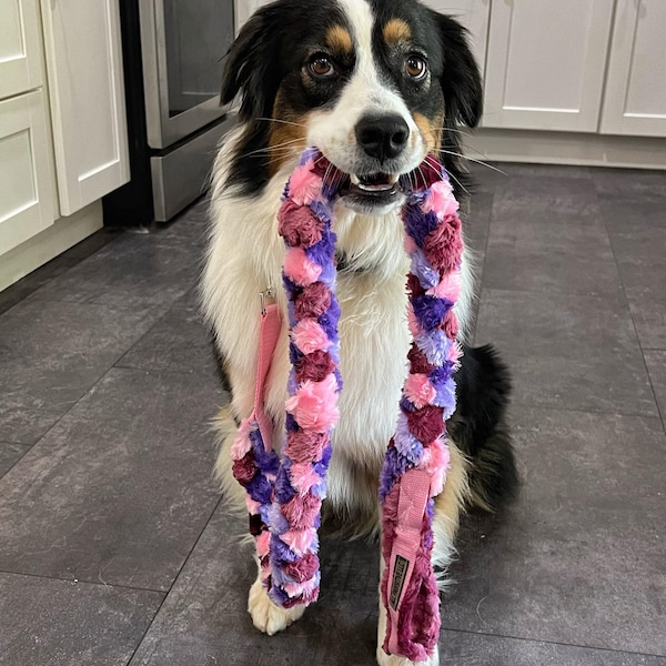 Custom Ribbon Display, Dog Award Ribbon Display Rack, Dog Rosette ...
