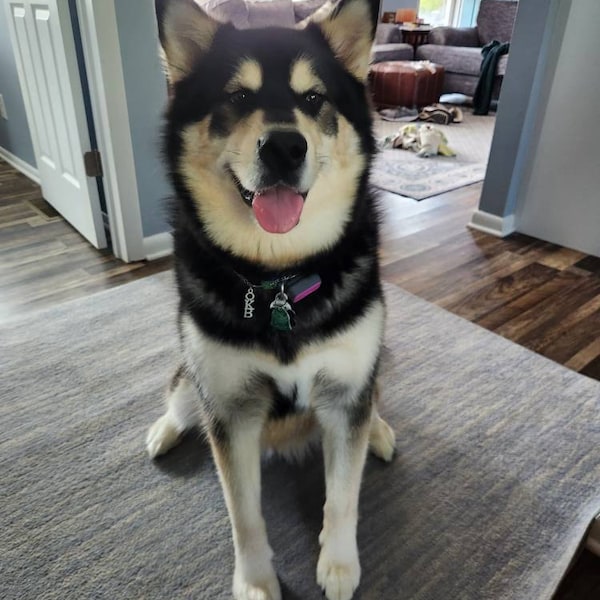 DIGITAL ONLY: Voice Changer Prop Replica Cosplay 3D Print Files ...