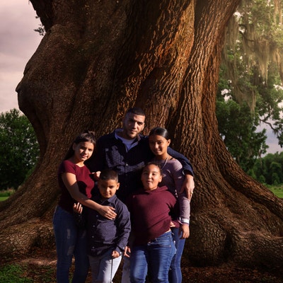 Huge Oak Tree Digital Background/backdrop for Photographer - Etsy