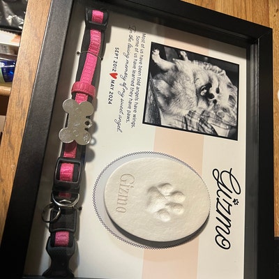 Pet Memorial Paw Print Holder Shadow Box, Two Paw Prints, Pet Loss ...
