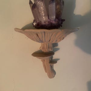 Amanita Fungus Mushroom Shelf | Floating Shelf | Standard Matte Decor ...
