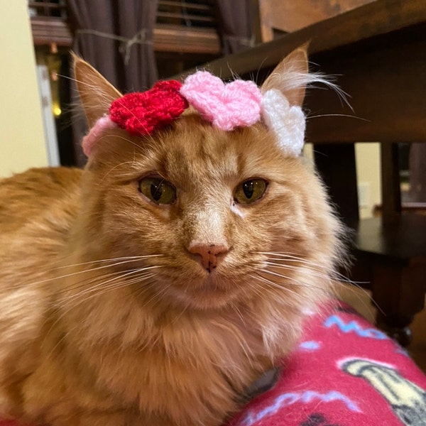 Heart Headband for Cats, Valentine's Day Cat Accessories, Cat Photo ...