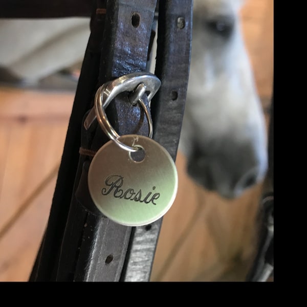 BRIDLE TAG THICK 3/4" Horse Plate Small Custom Engraved Solid Brass or ...
