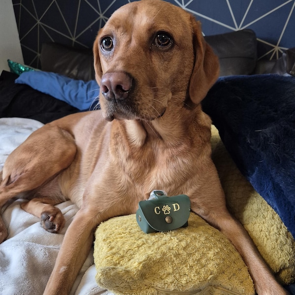 Pet Proposal Ring Pouch With Personalization, Pet Ring Carrier for ...