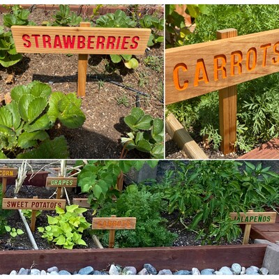 APPLES Sign, Outdoor Sign, Yard Art, Fruit Tree Marker, Orchard Sign ...