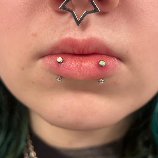 Vertical Labret Bridge Piercing Eyebrow Rings Belly Button Bars Rook ...