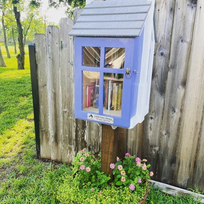 PB, Neighborhood Book Exchange, Little House, Shed Roof Style, Lending ...