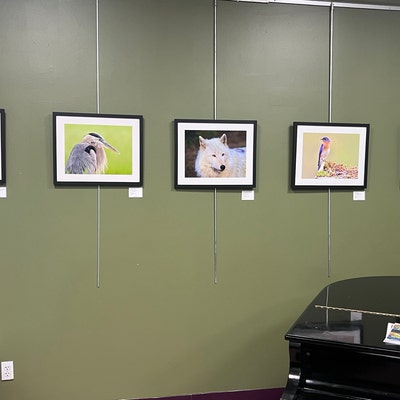 Exhibition Labels Template for Artists, Printable Wall Plaques to ...