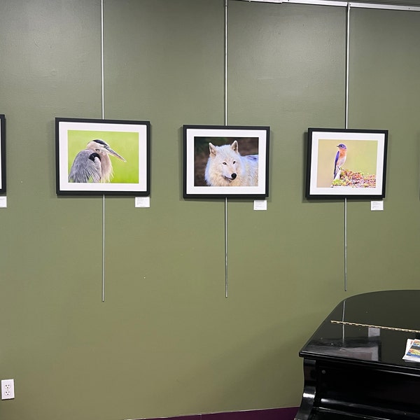 Art Exhibition / Museum Display Cards / Artwork Labels for Artists ...